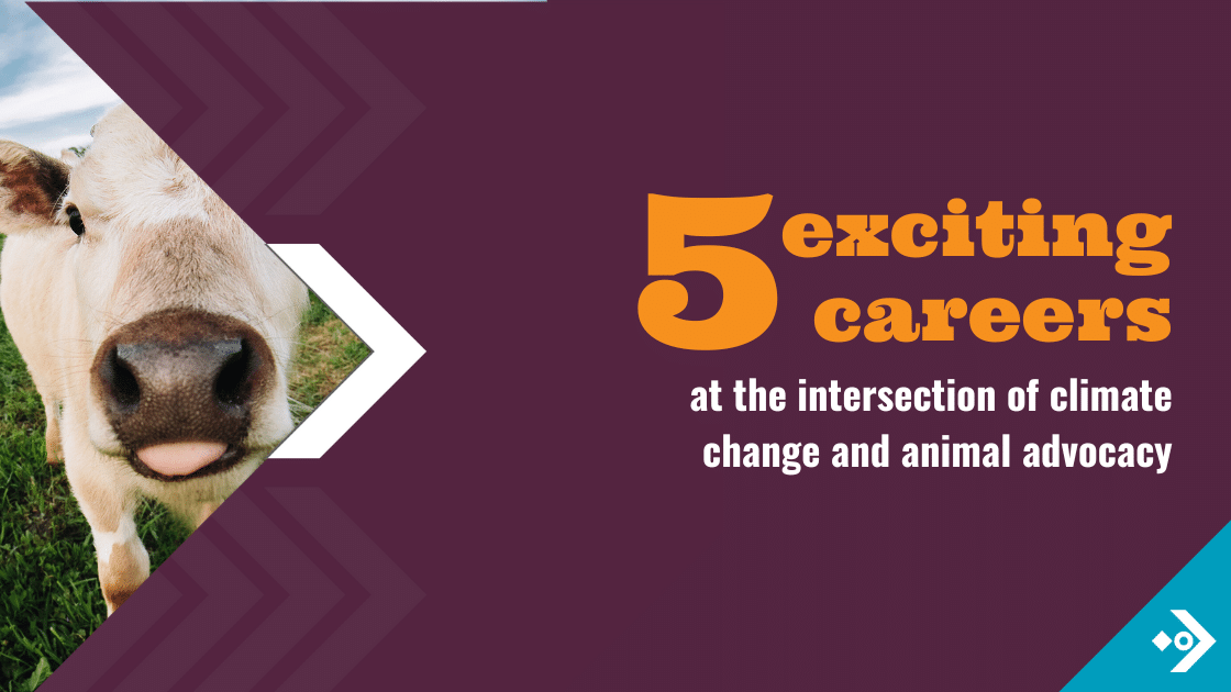 5 Exciting careers at the intersection of climate change and animal ...