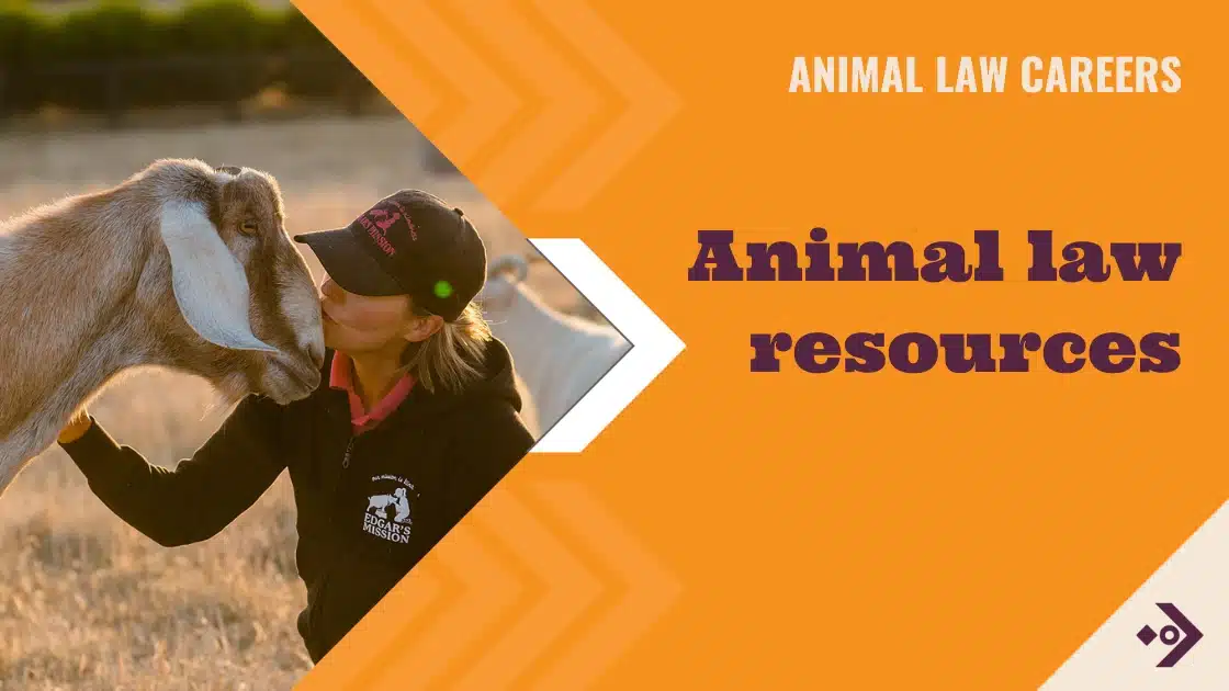 Careers for animal lawyers