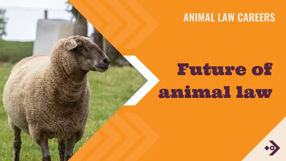 Future of animal law