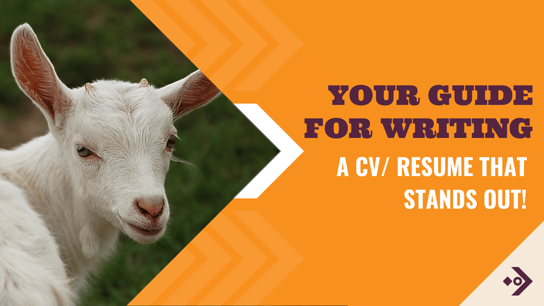 Stand out in animal advocacy: How to write a compelling CV or resume ...